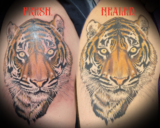 Discover Leading female owned tattoo shops in Massachusetts | TattooLoc