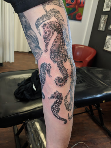 Discover Leading tattoo schools in Alaska | TattooLoc